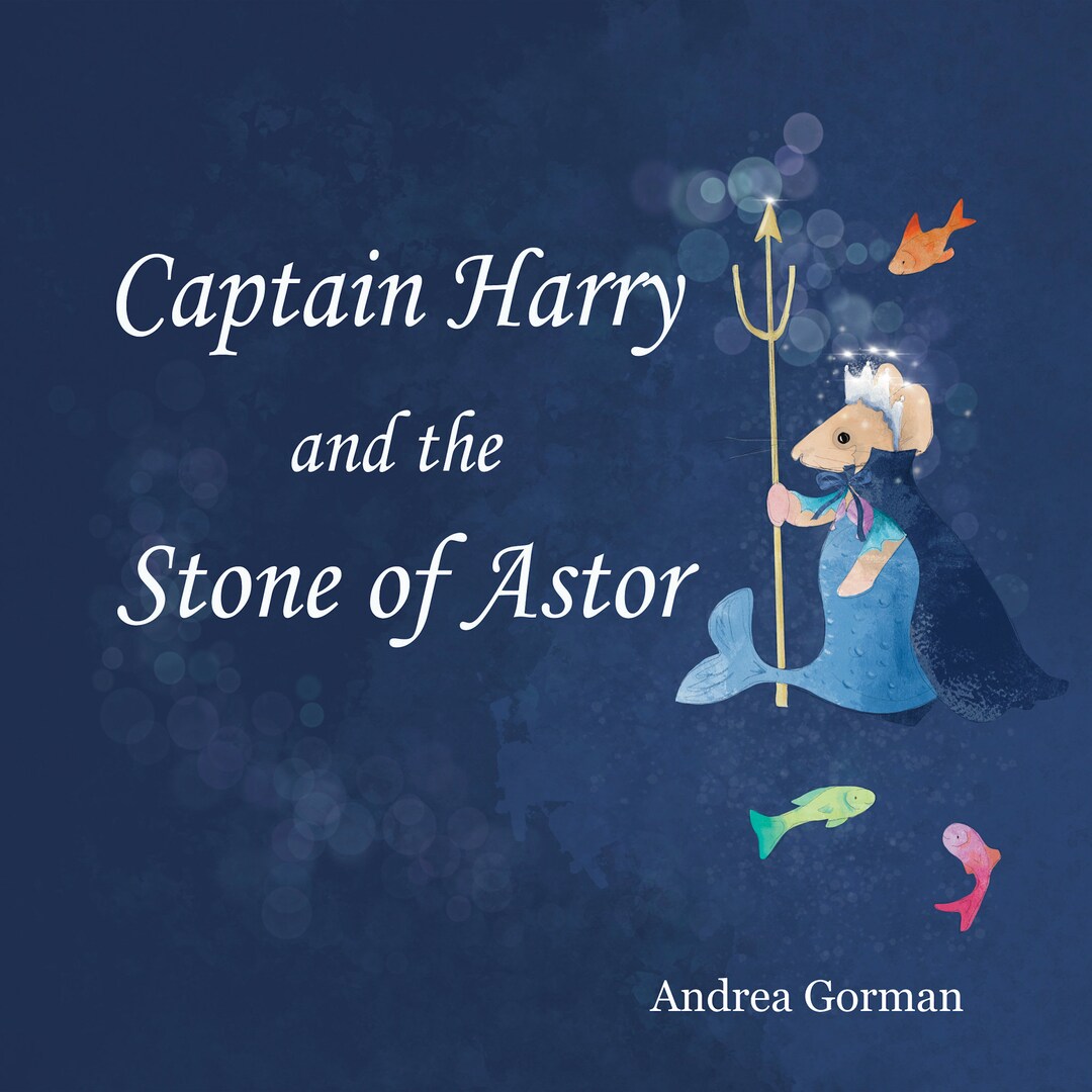 Captain Harry and the Stone of Astor - Illustrated Children's Book - Etsy