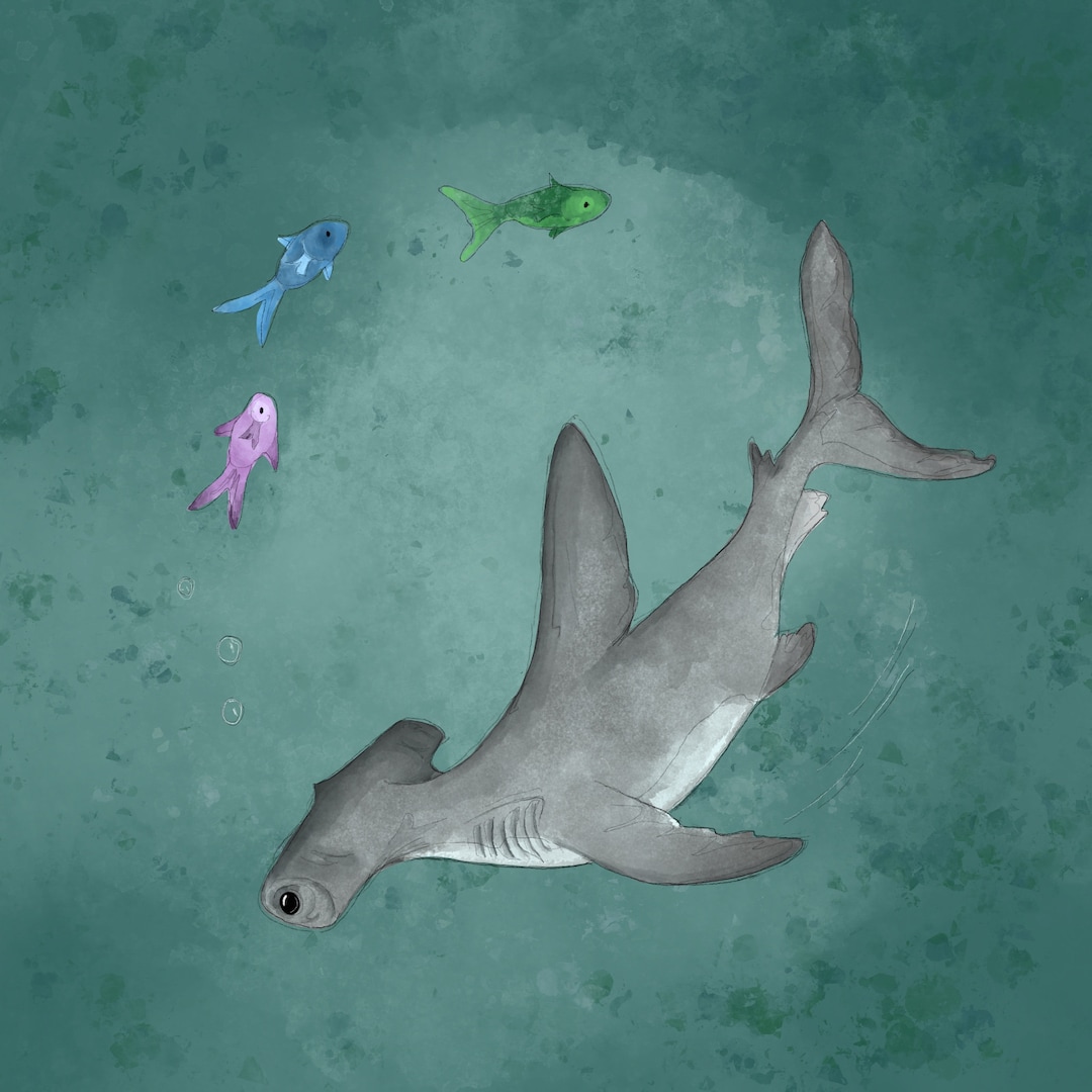 Pre-order Fabric Panel Hammerhead Shark on Teal 30.5 Cm Square Quilting ...