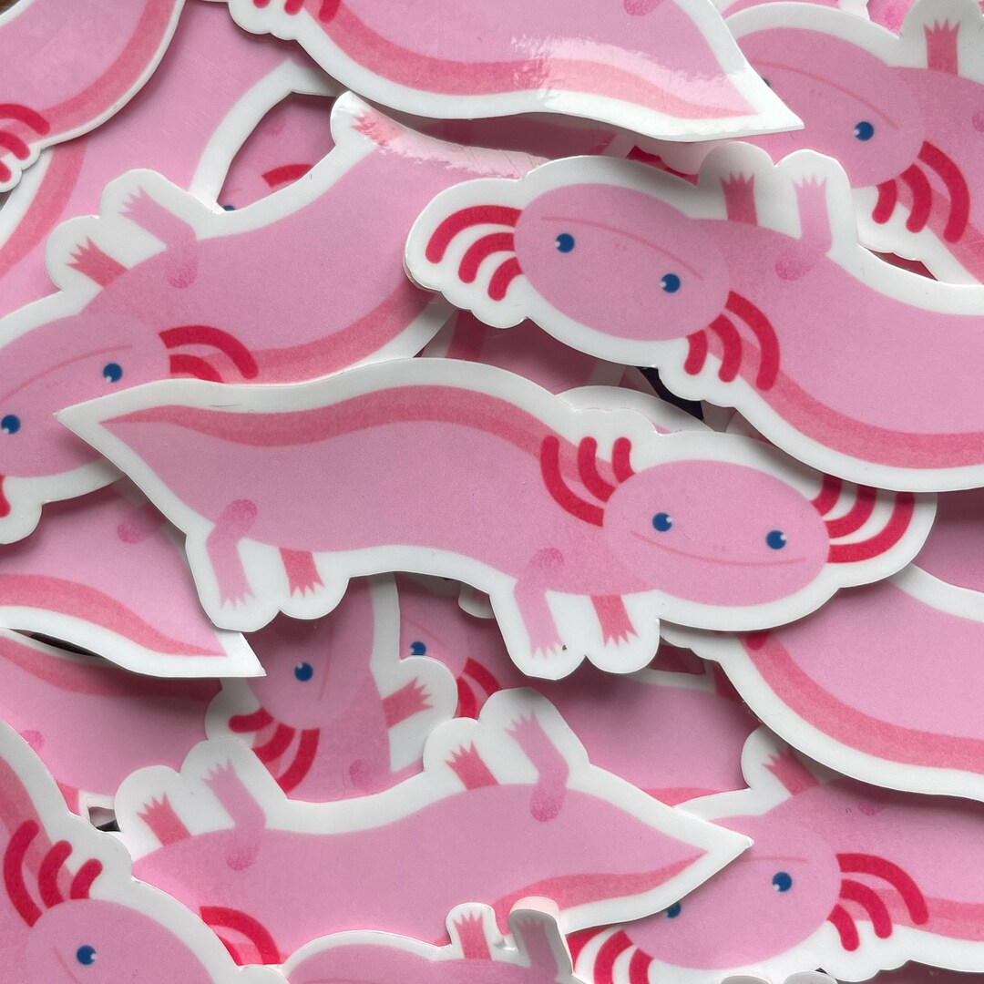 Axolotl | Vinyl Sticker | Handmade Sticker | Sticker for Hydroflask ...