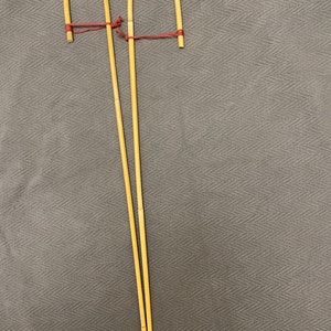 English Traditional Schoolmistress Punishment Canes / Classic Dragon ...