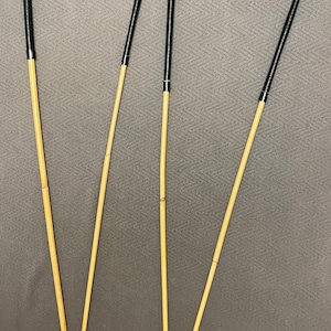 Pro Disciplinarian BDSM Toychest Essentials Set of 4 Classic Dragon ...