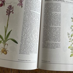 The Illustrated Encyclopaedia of Herbs - Published 1992 - Etsy