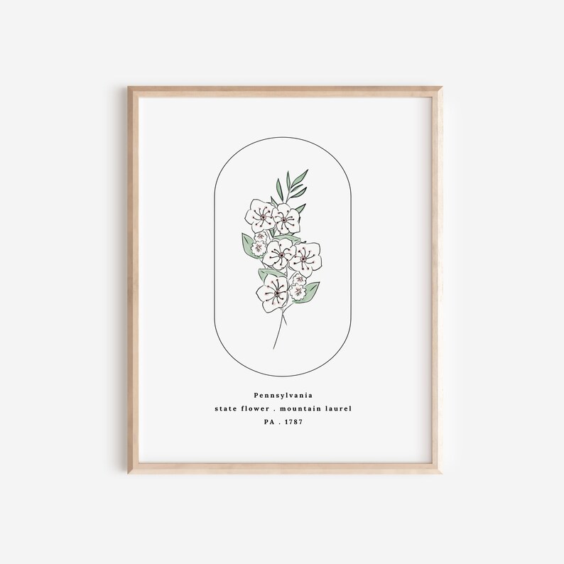 Pennsylvania State Flower | Mountain Laurel Watercolor Floral Art ...