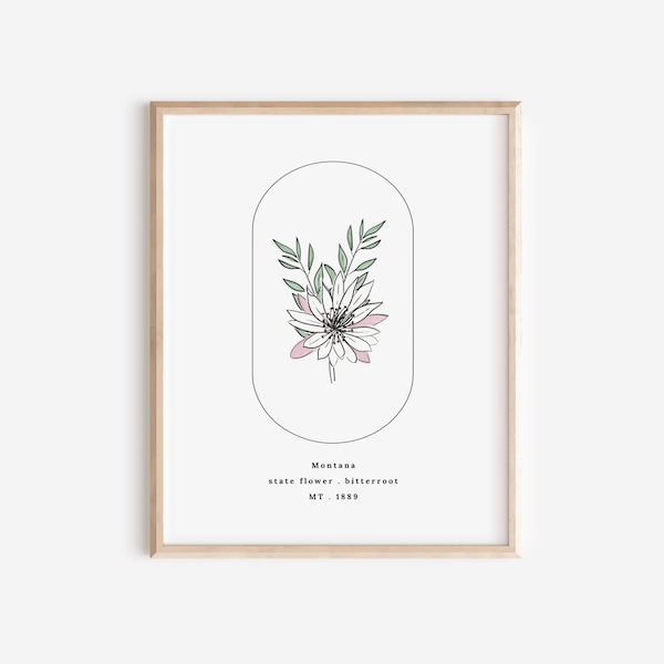Bitterroot Flower - Etsy