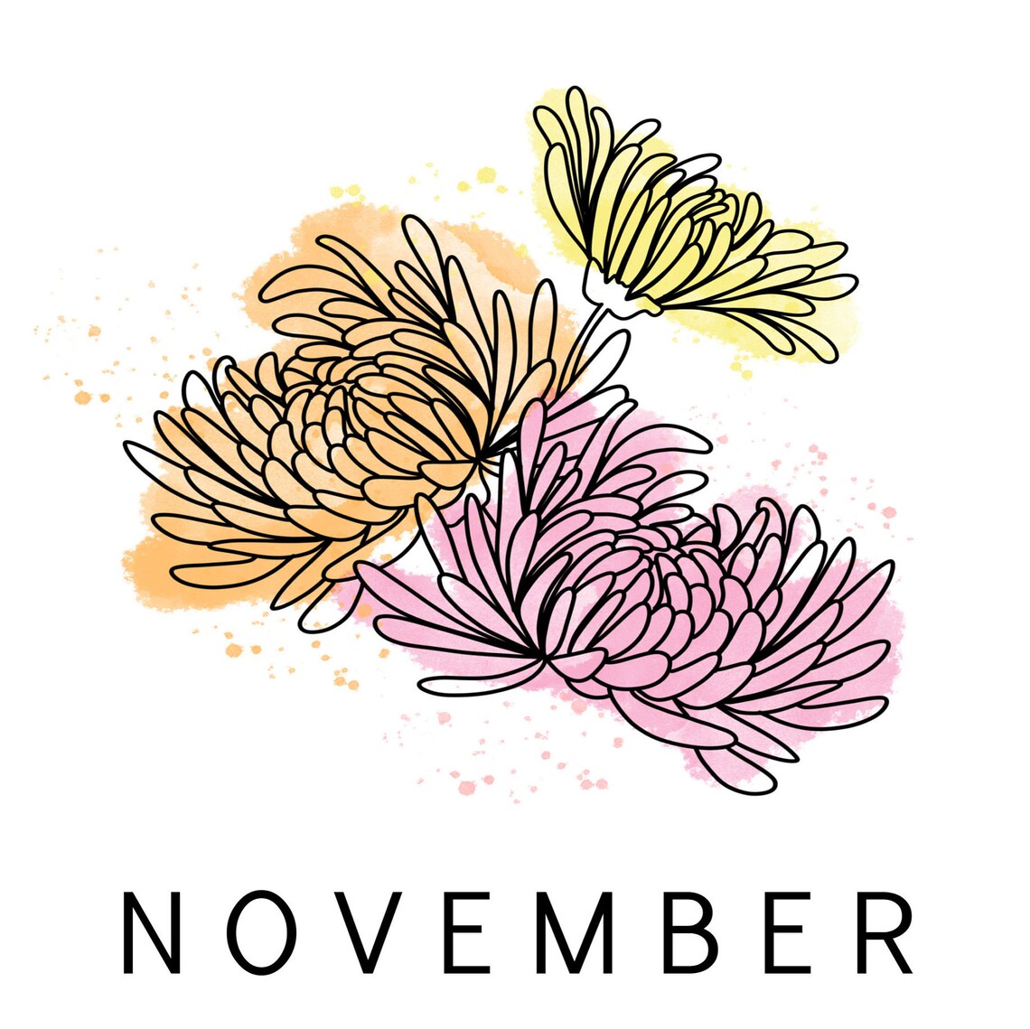 November Birth Month Flower Chrysanthemum Personalized Art | Etsy