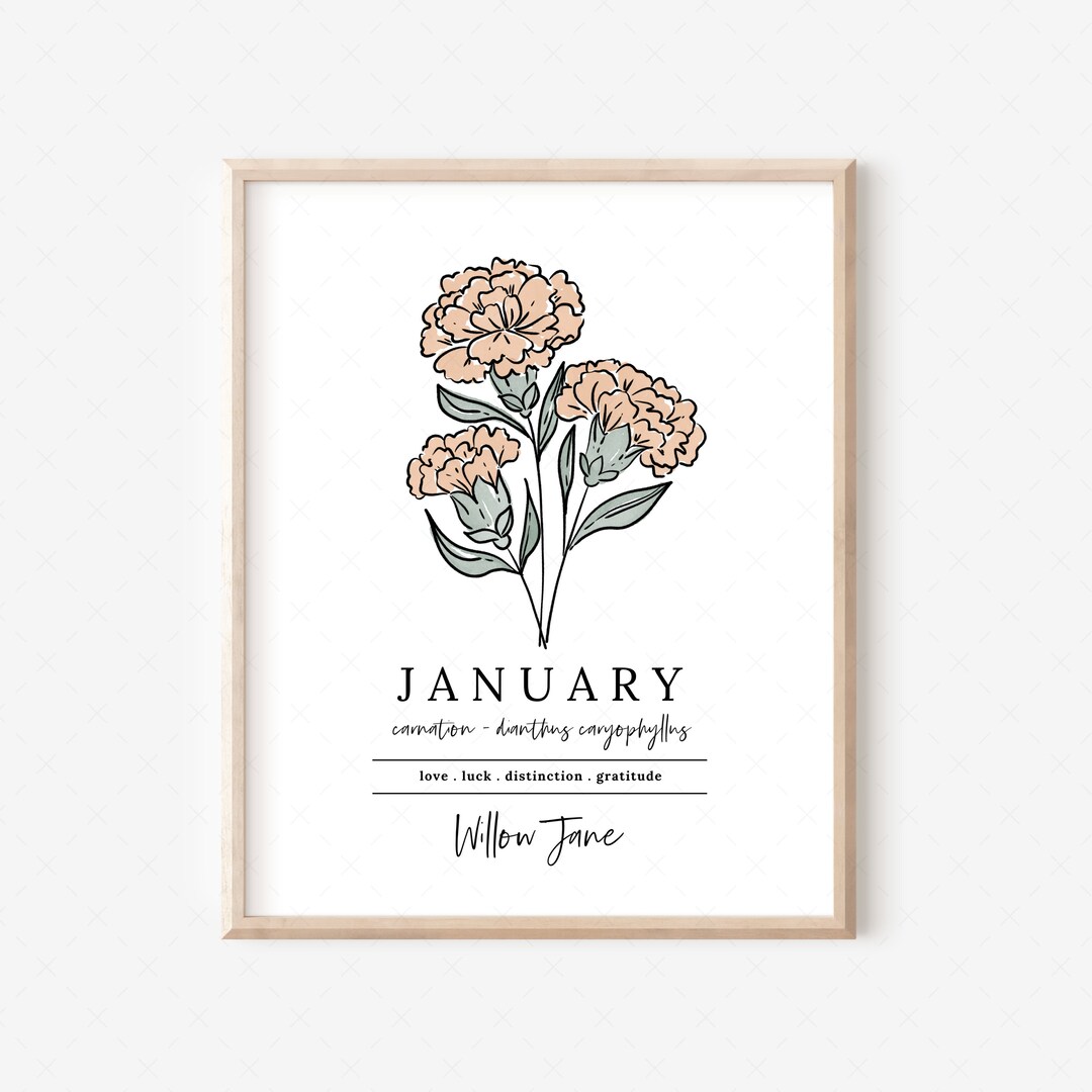 January Carnation Birth Flower Personalized Name Unframed Art Print ...