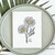 Pennsylvania State Flower Mountain Laurel Watercolor Floral Art ...