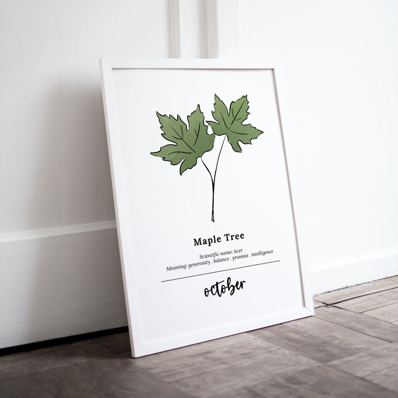 October Maple Tree Birth Wood Printable Sketch & Watercolor - Etsy