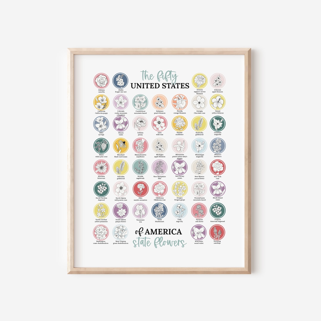 US State Flower Colorful Chart Printable | United States of America 50 ...