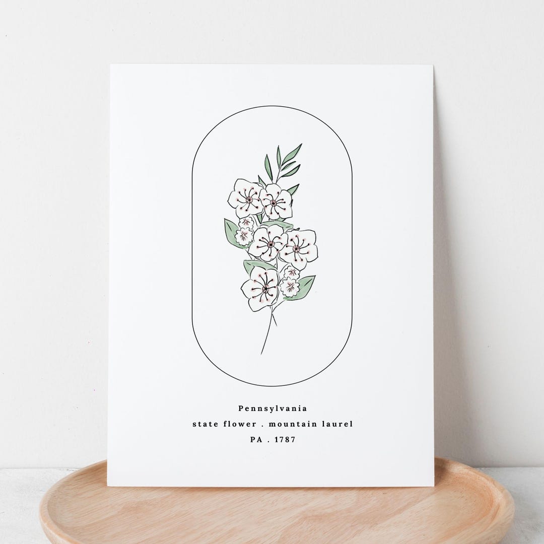 Pennsylvania State Flower | Mountain Laurel Watercolor Floral Art ...