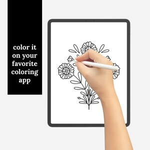 50 Coloring Pages | All the Seasons Digital Coloring Book Illustrations ...