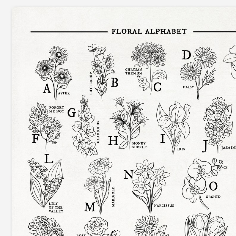 Flower Alphabet Chart Vintage Style | Illustrated Sketched Floral ...
