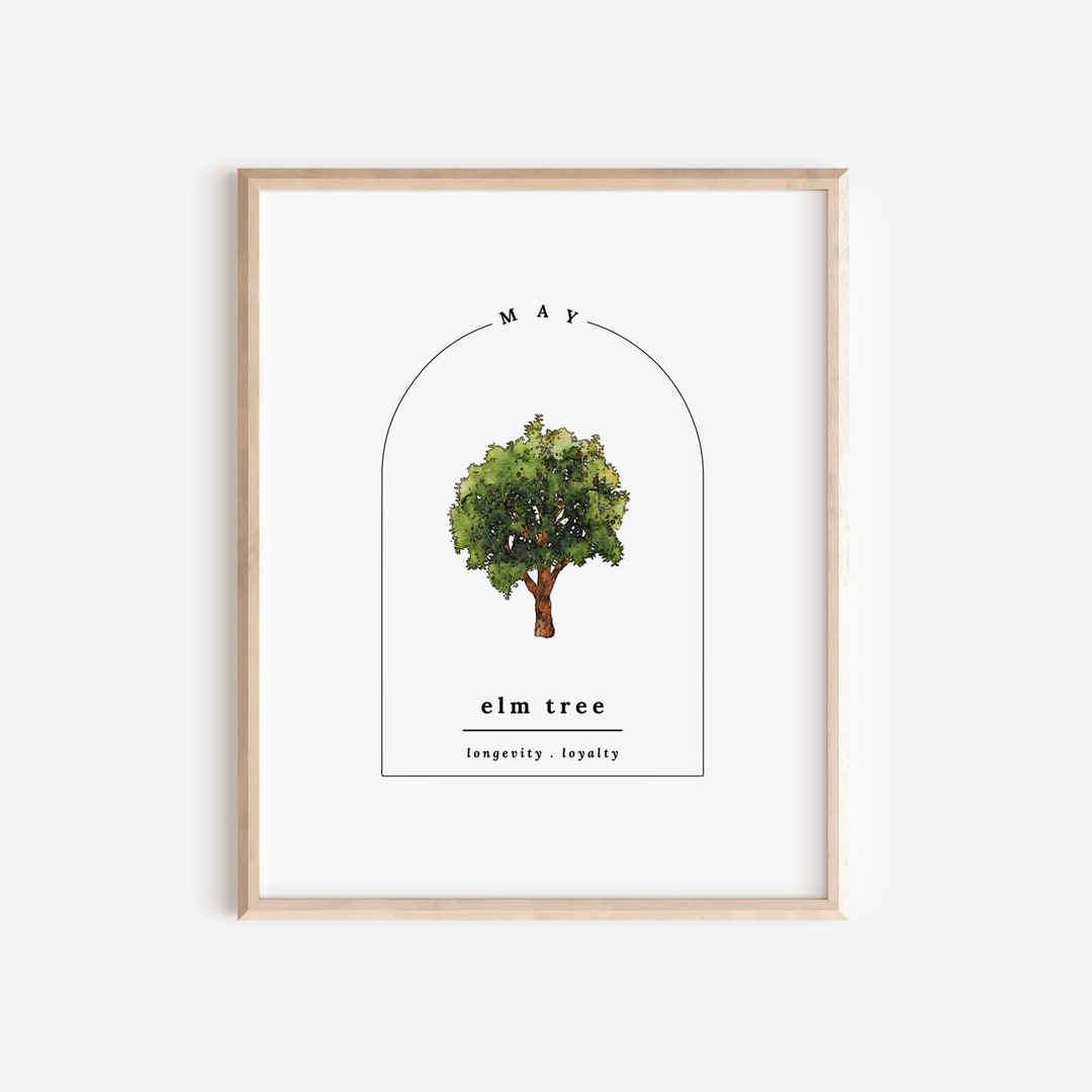 May Birth Elm Tree Printable Sketch & Watercolor Art - Etsy