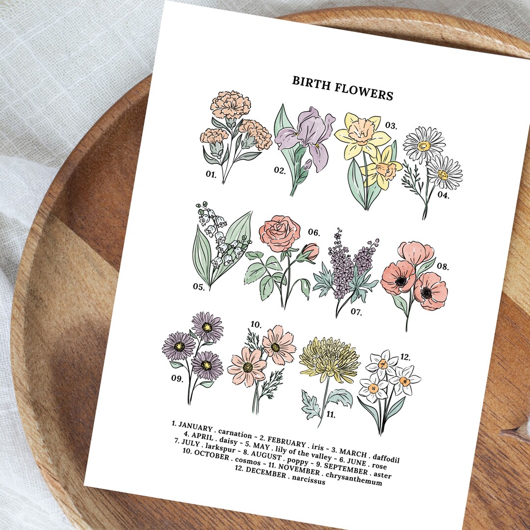 Birth Flower Chart Unframed Art Print | Illustrated Sketched Birthday ...