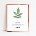 12 Month Birth Tree Birth Wood Watercolor Printables | Birth Month ...
