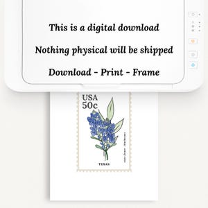Texas US State Flower Stamp | Bluebonnet Watercolor Floral Art ...