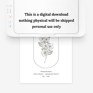 Pennsylvania State Flower | Mountain Laurel Watercolor Floral Art ...