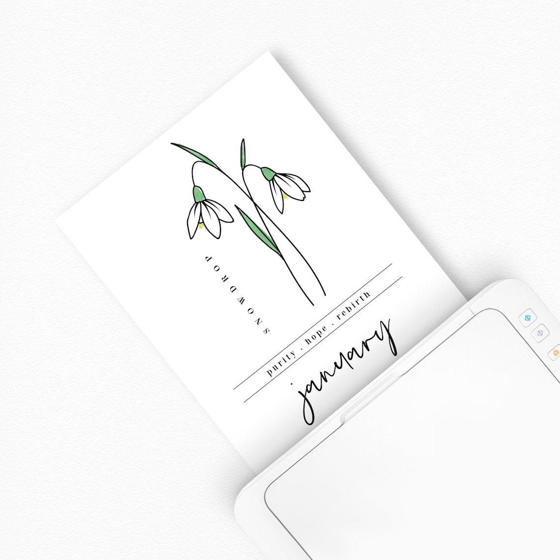 January Birth Flower Snowdrop Digital Art Printable - Etsy