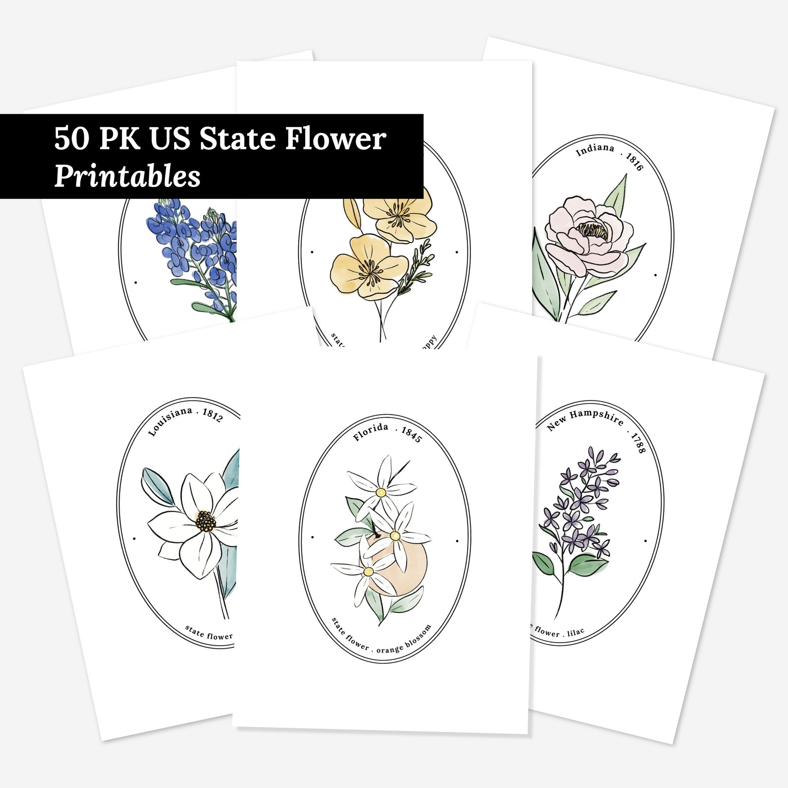 50 Pk US State Flower Printables Cameo Bundle | USA Watercolor Floral ...