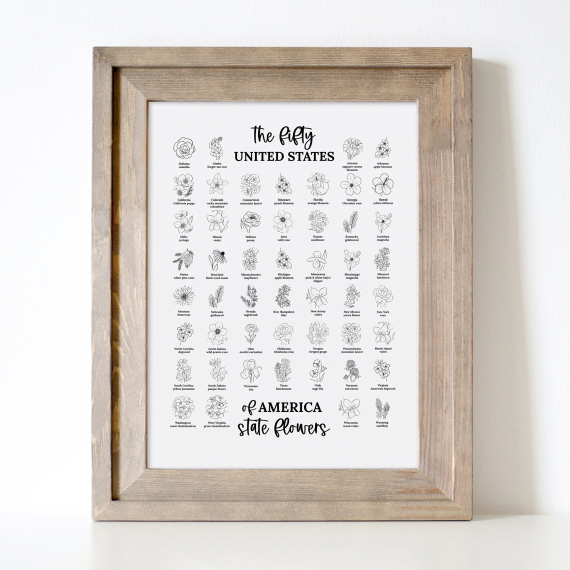 US State Flower Illustration Chart Printable United States - Etsy