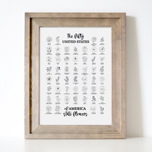 US State Flower Illustration Chart Printable | United States of America ...
