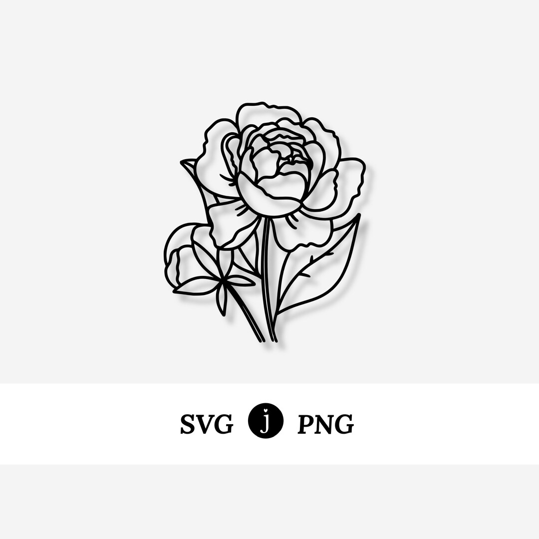 Peony Flower | Illustrated Svg Png Digital Drawing Graphic | Craft ...