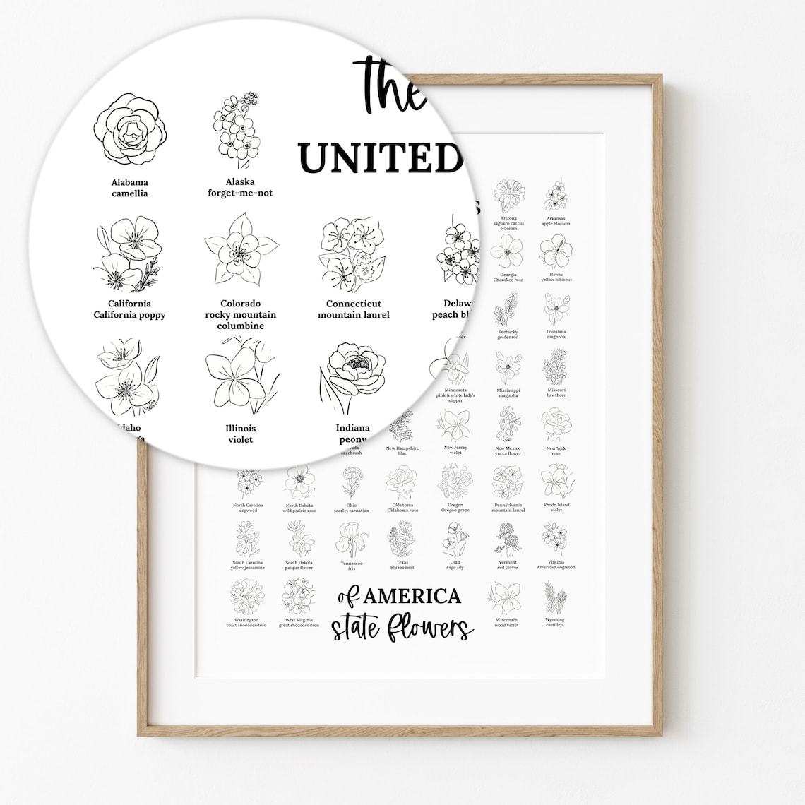 US State Flower Illustration Chart Printable United States - Etsy