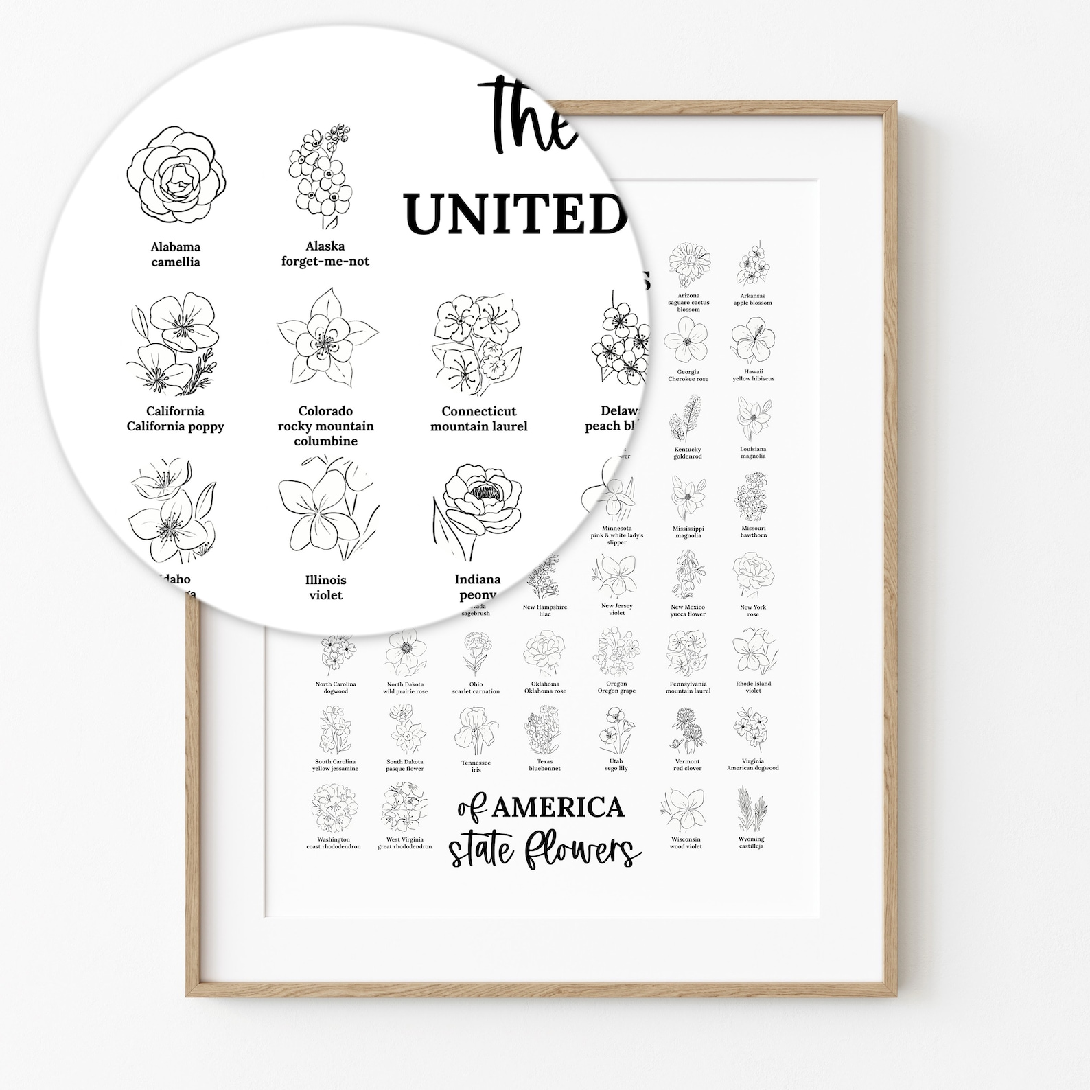 US State Flower Illustration Chart Printable United States - Etsy