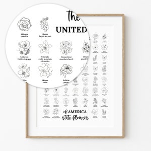 US State Flower Illustration Chart Printable | United States of America ...