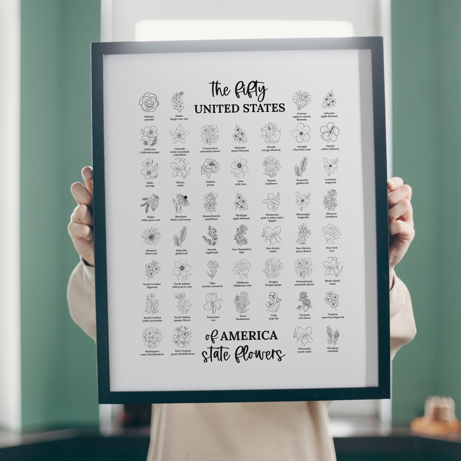 US State Flower Illustration Chart Printable United States - Etsy