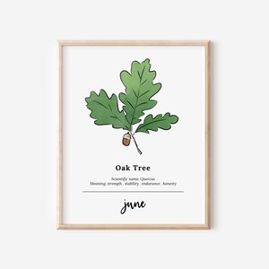 June Oak Tree Birth Wood Printable Sketch & Watercolor Art - Etsy