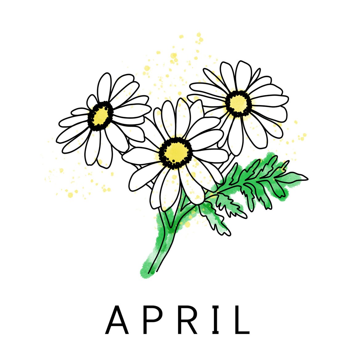 April Birth Flower Daisy Personalized Digital or Printed | Etsy