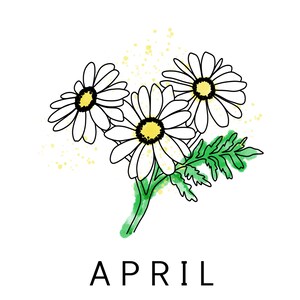 April Birth Flower Daisy Personalized Digital Printable Watercolor ...