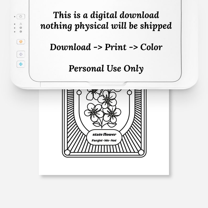 US State Flower Coloring Pages | 50 Hand Illustrated Educational ...