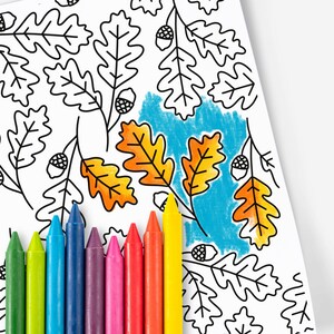 50 Coloring Pages | All the Seasons Digital Coloring Book Illustrations ...