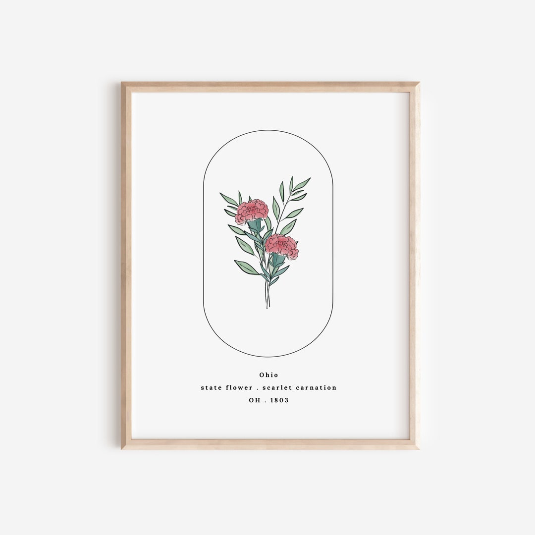 Ohio State Flower | Scarlet Carnation Watercolor Floral Art Printable ...