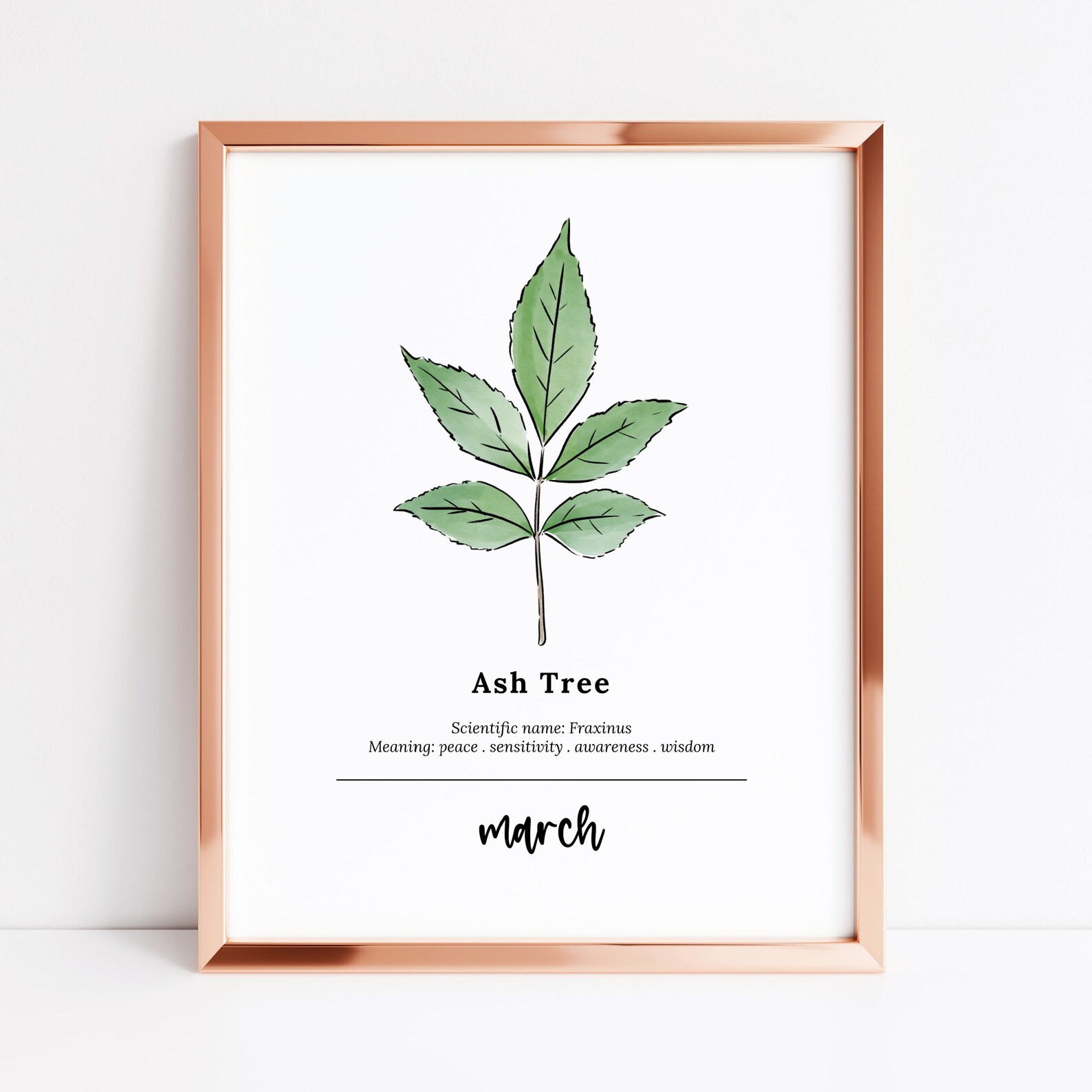 March Ash Tree Birth Wood Printable Sketch & Watercolor Art - Etsy