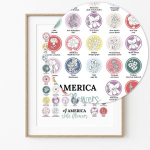 US State Flower Colorful Chart Printable | United States of America 50 ...
