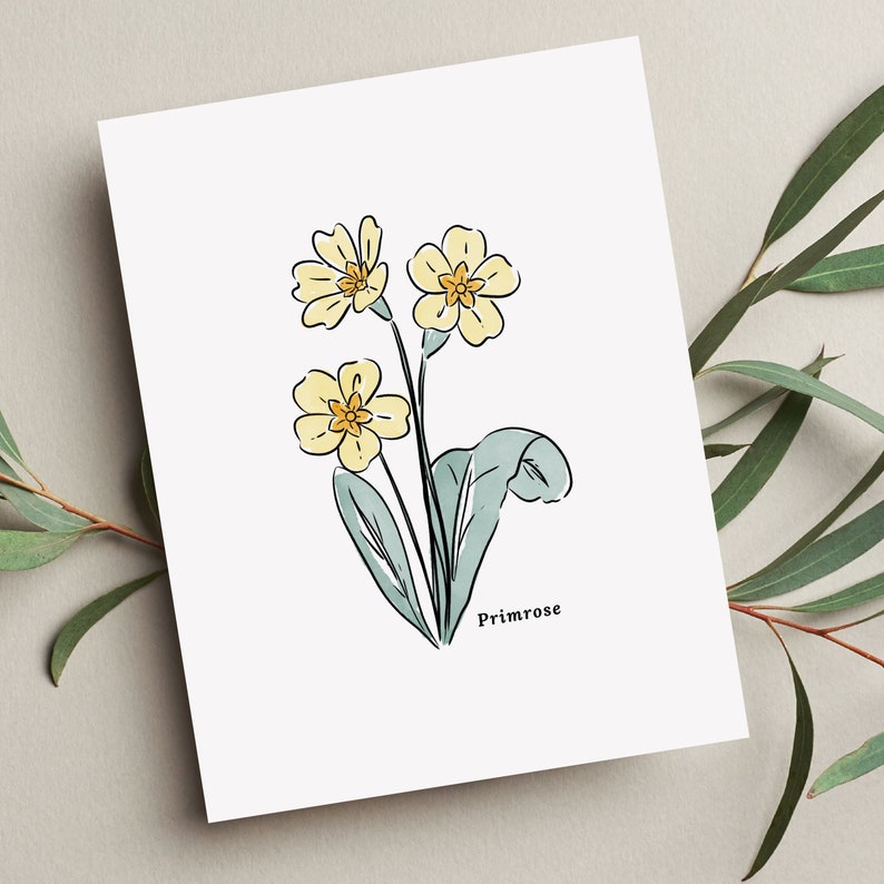 Yellow Primrose Flower Illustration Printables | 4 Styles Included ...