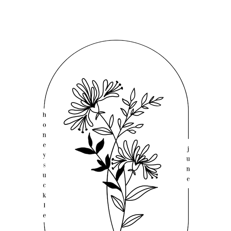 June Birth Flower Honeysuckle | Oval Frame Floral Line Art Printable ...