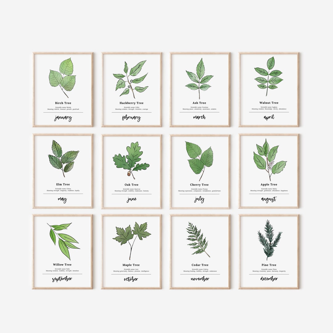 12 Month Birth Tree Birth Wood Watercolor Printables | Birth Month ...