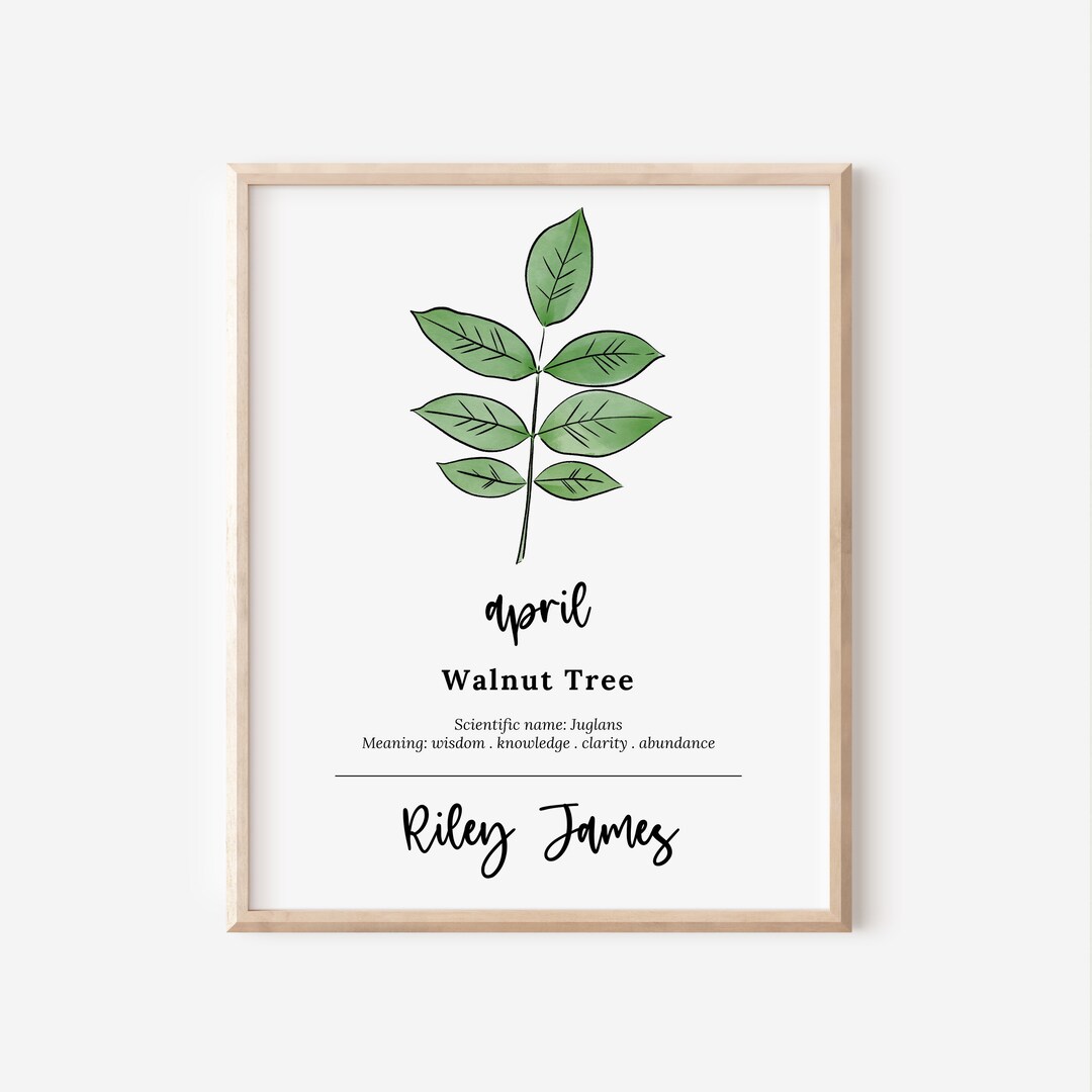 Personalized April Walnut Tree Art Print | Birthwood Watercolor Decor ...