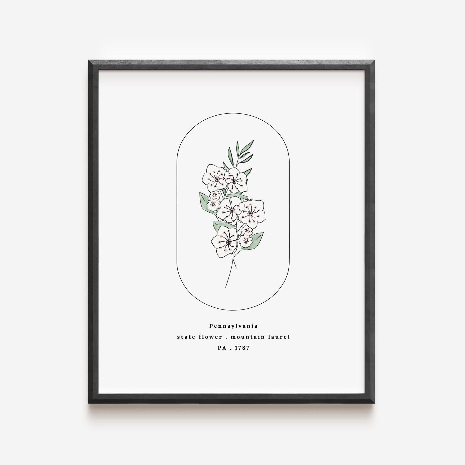 Pennsylvania State Flower Mountain Laurel Watercolor Floral - Etsy