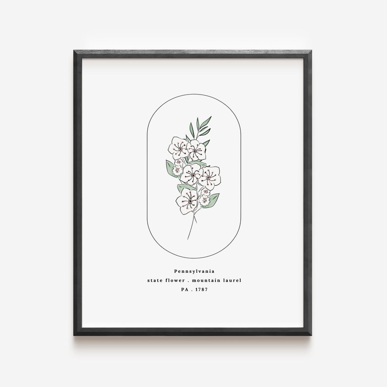 Pennsylvania State Flower Mountain Laurel Watercolor Floral - Etsy