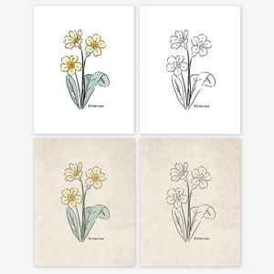 Yellow Primrose Flower Illustration Printables | 4 Styles Included ...