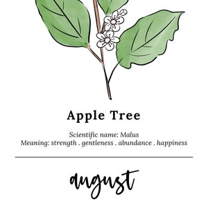 August Apple Tree Birth Wood Printable | Sketch & Watercolor Art - Etsy