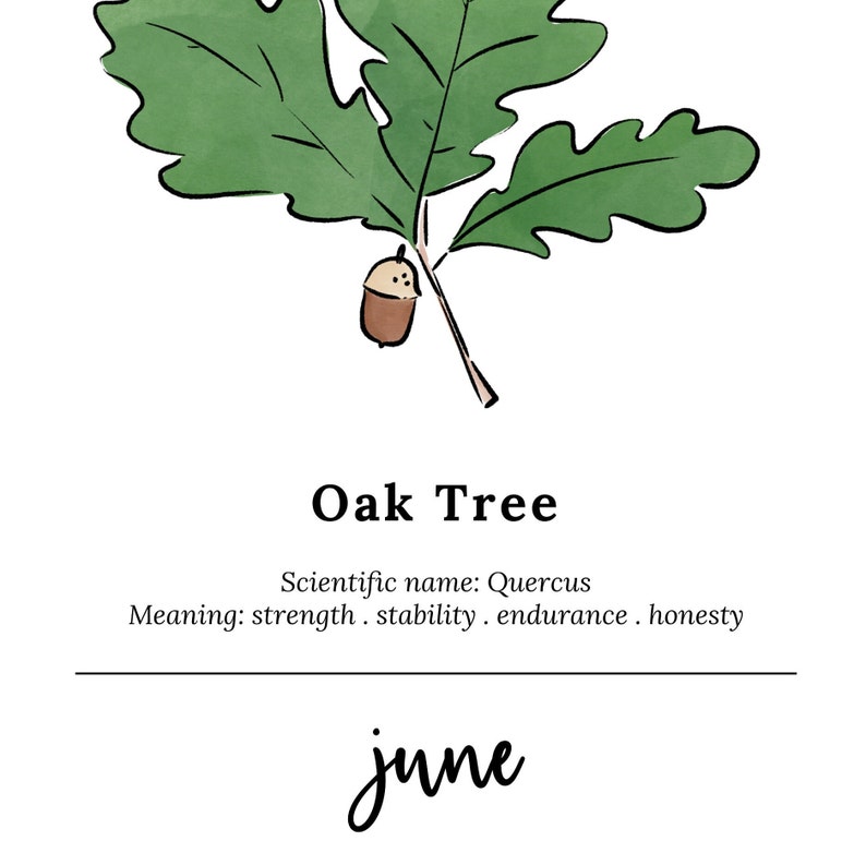 June Oak Tree Birth Wood Printable Sketch & Watercolor Art - Etsy