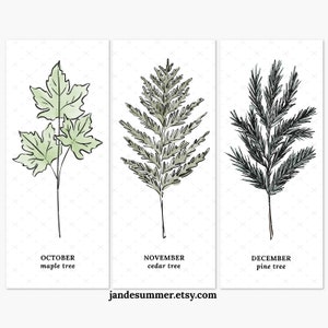 Personalized Birth Family Tree Art Print | up to 6 Names | Birth Tree ...