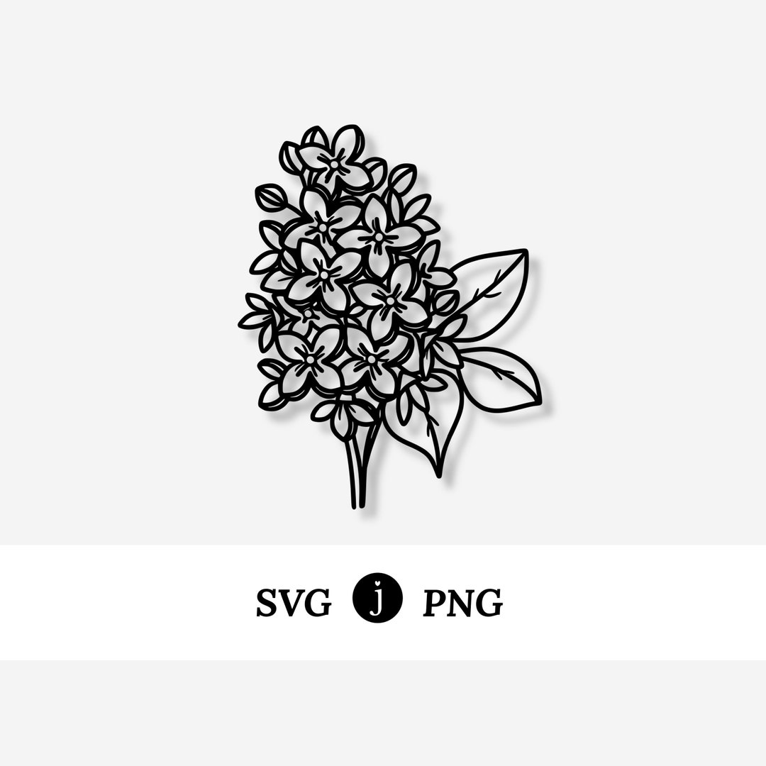 Lilac Flower | Illustrated Svg Png Digital Drawing Graphic | Craft ...