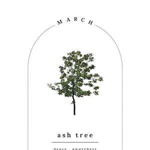 March Birth Ash Tree Printable | Sketch & Watercolor Art - Etsy